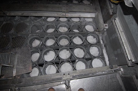 Early Q2 2022 Update -Action Economics