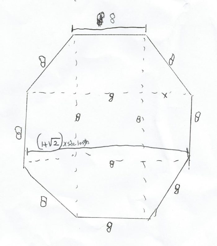 How To Build A Gaga Ball Pit For Under $300 -Action Economics