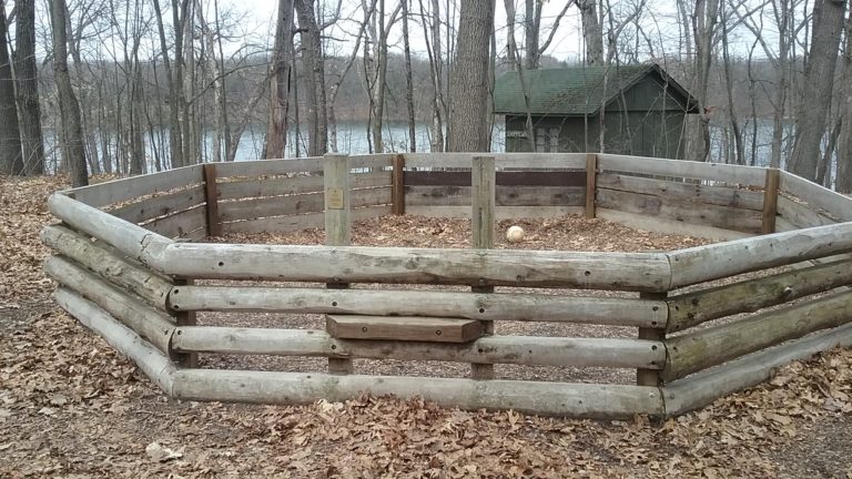 How To Build A Gaga Ball Pit For Under $300 -Action Economics